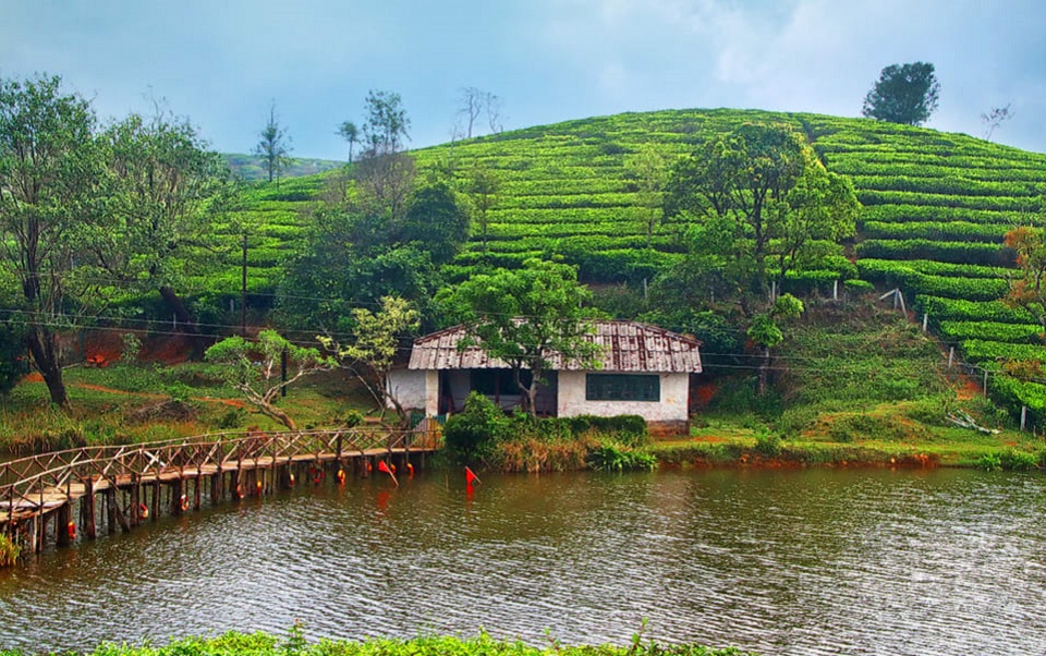 Exotic Treehouse with Luxury Dome Stay 1N Munnar / 1N Vagamon / 1N ...